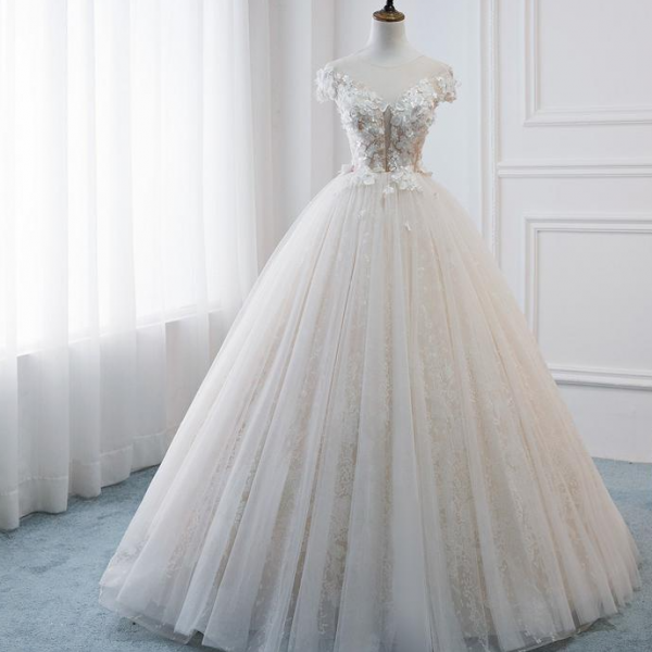 Long Floor Length Princess Ball Gown Sheer Neckline With Floral Lace ...