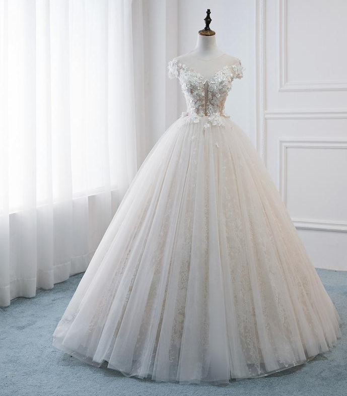 Long Floor Length Princess Ball Gown Sheer Neckline With Floral Lace ...